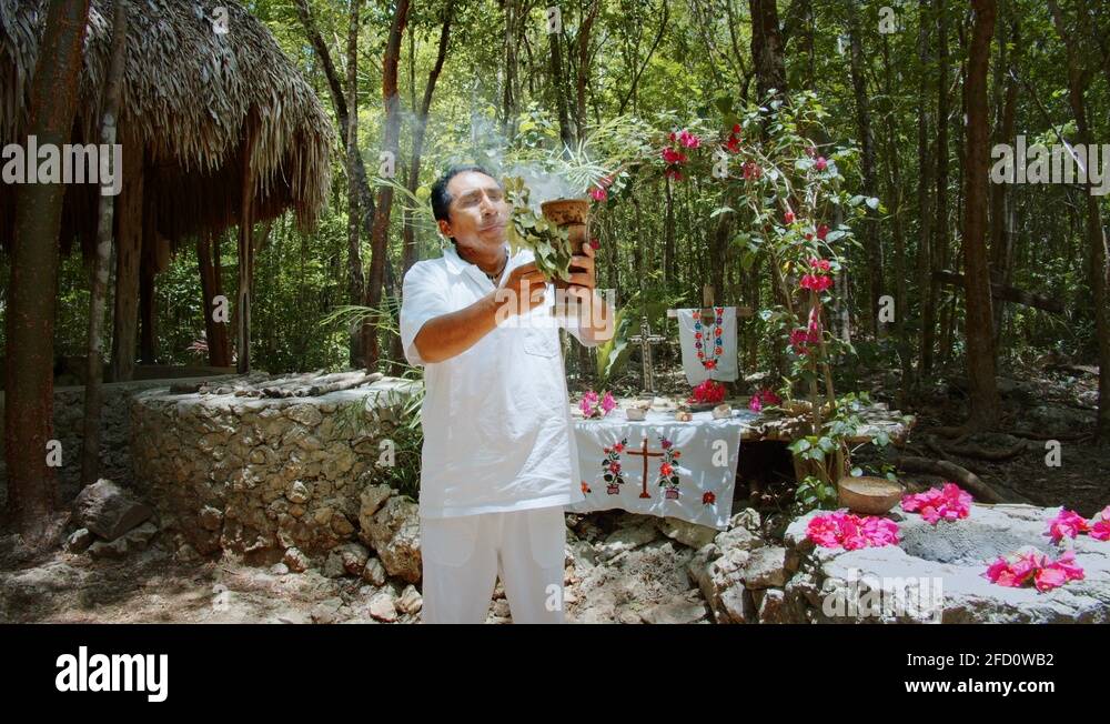 Indian wizard Stock Videos & Footage - HD and 4K Video Clips - Alamy