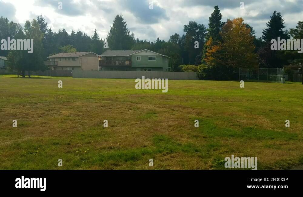 Park backround Stock Videos & Footage - HD and 4K Video Clips - Alamy