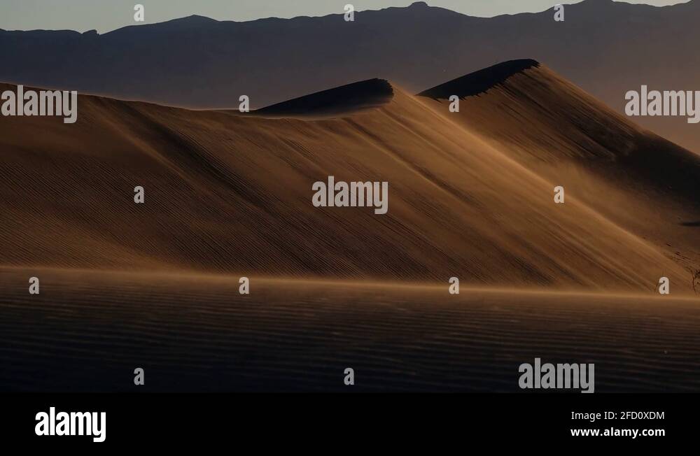 Sand dunes blowing in the wind Stock Videos & Footage - HD and 4K Video ...