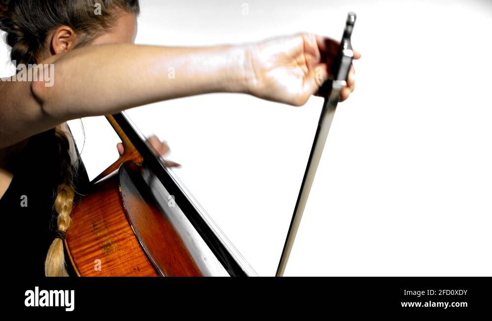 Violin isolated on white Stock Videos & Footage - HD and 4K Video Clips ...