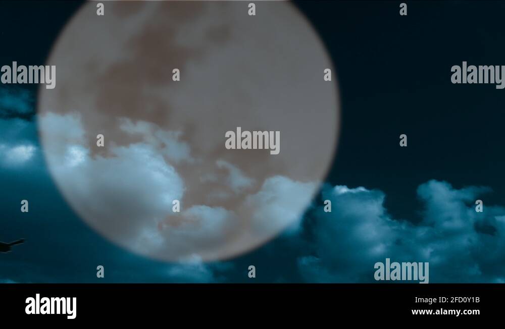 Spooky moon Stock Videos & Footage - HD and 4K Video Clips - Alamy