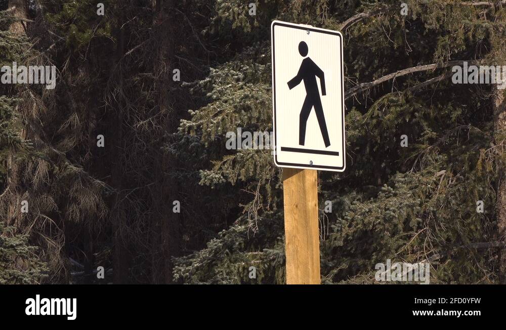 Man crosswalk Stock Videos & Footage - HD and 4K Video Clips - Alamy