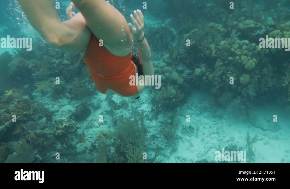Girl Model In Bikini Snorkeling Underwater In Caribbean Ocean Along