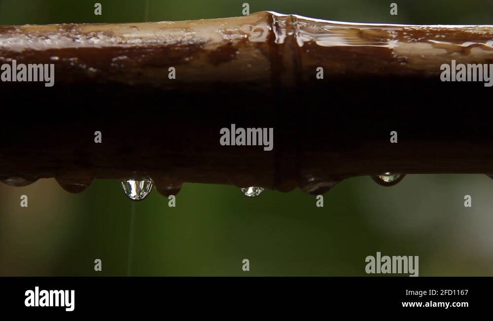 Bamboo and cane Stock Videos & Footage - HD and 4K Video Clips - Alamy