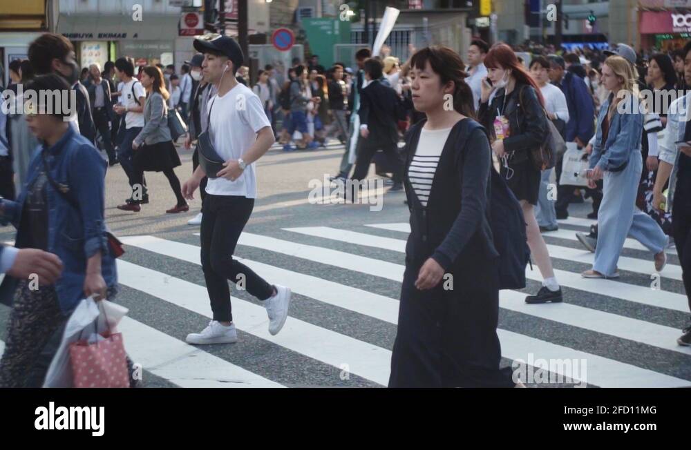 Crossroads choice people Stock Videos & Footage - HD and 4K Video Clips ...