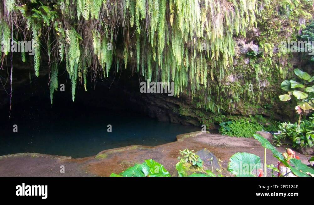 Bora cave Stock Videos & Footage - HD and 4K Video Clips - Alamy