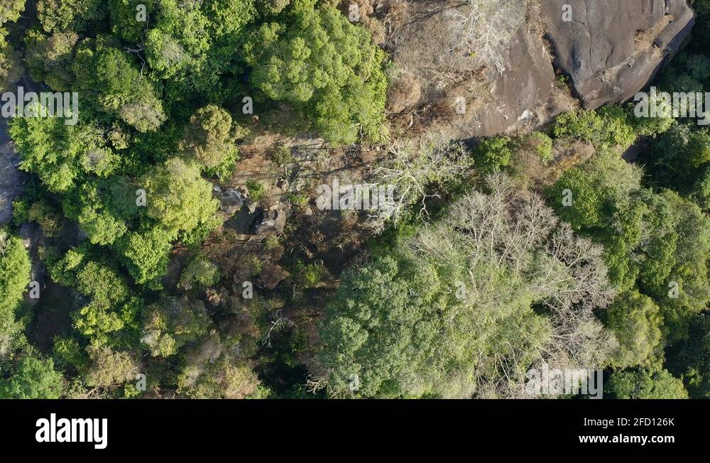 Direct overhead view Stock Videos & Footage - HD and 4K Video Clips - Alamy