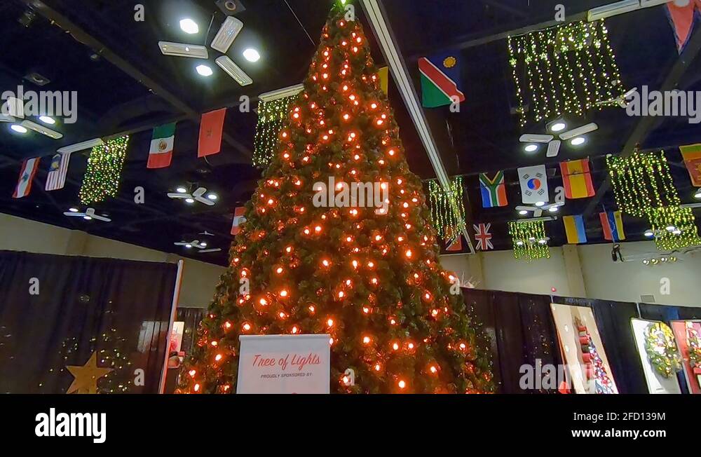 Red family tree Stock Videos & Footage - HD and 4K Video Clips - Alamy