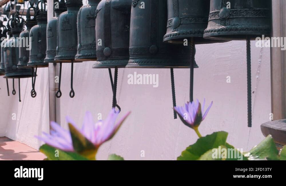 Ringing people Stock Videos & Footage - HD and 4K Video Clips - Alamy