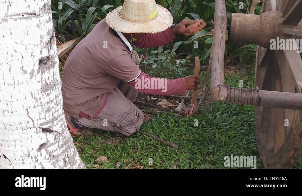 Planting pole Stock Videos & Footage - HD and 4K Video Clips - Alamy
