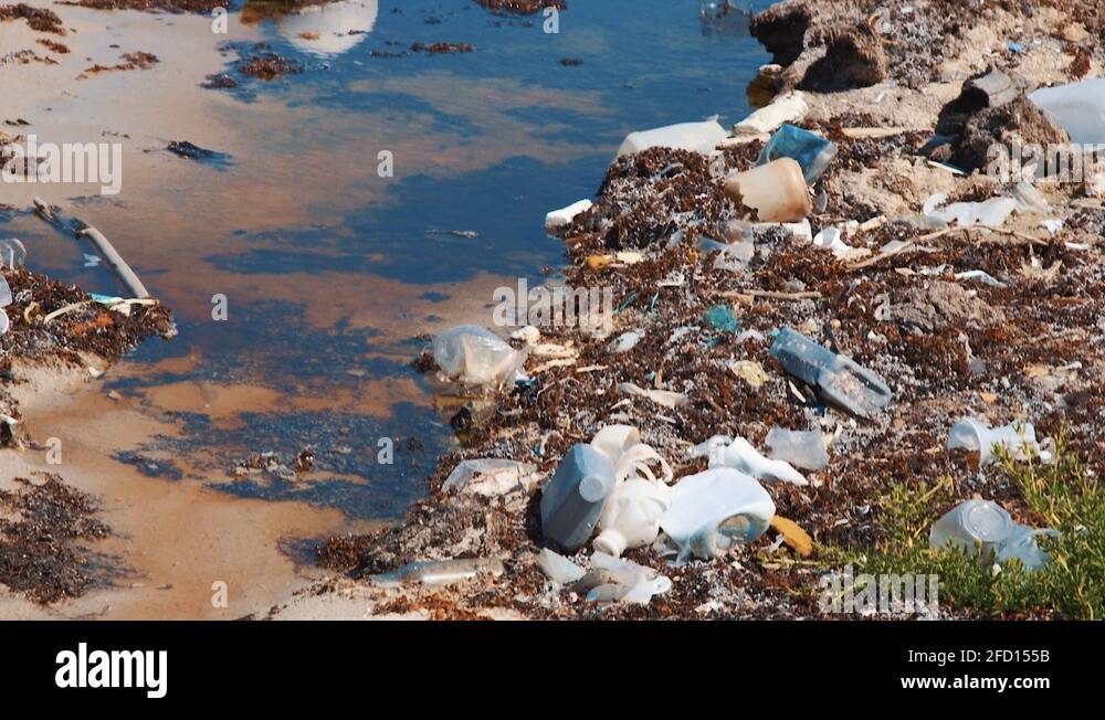 Tilt Up Reveal of Caribbean Beach Covered in Plastic Pollution and ...