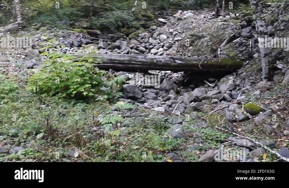Dried out riverbed Stock Videos & Footage - HD and 4K Video Clips - Alamy
