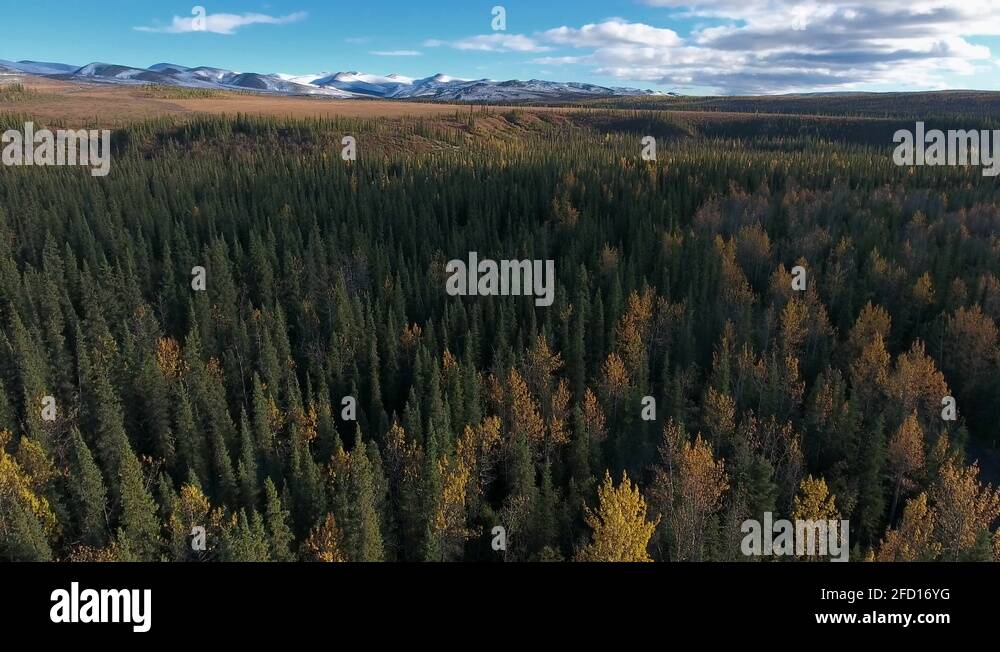 Inuvik aerial Stock Videos & Footage - HD and 4K Video Clips - Alamy