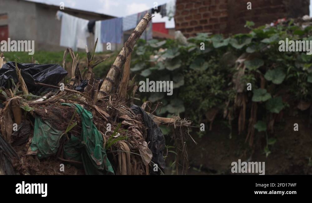 Polythene Stock Videos & Footage - HD and 4K Video Clips - Alamy