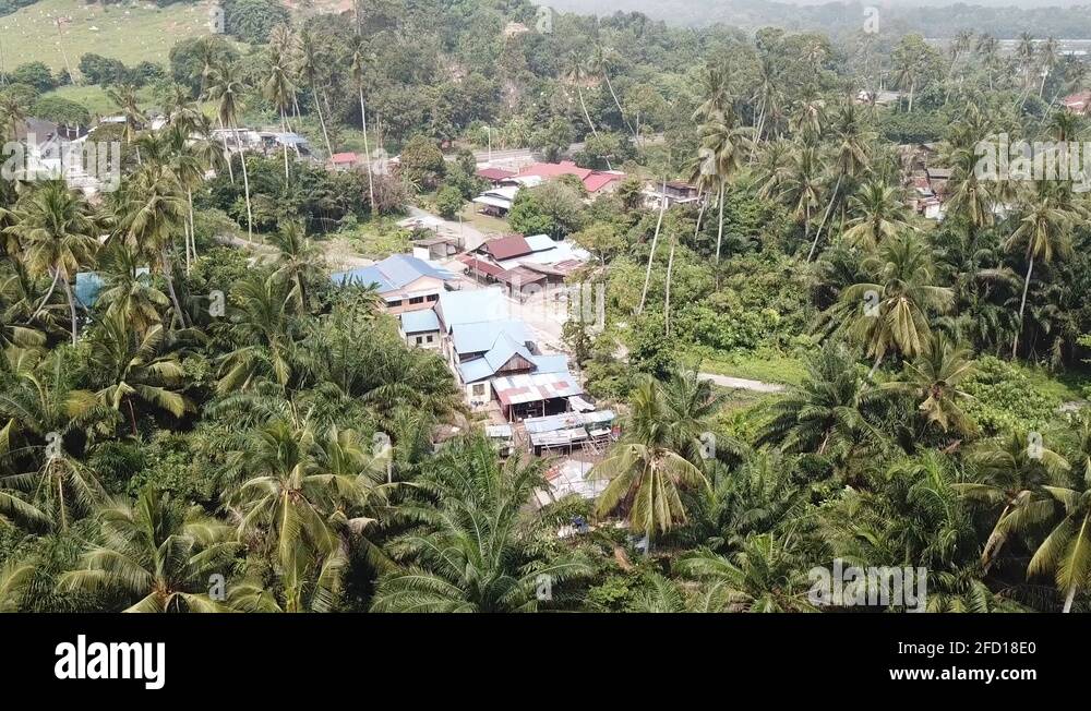 Traditional asia Stock Videos & Footage - HD and 4K Video Clips - Alamy