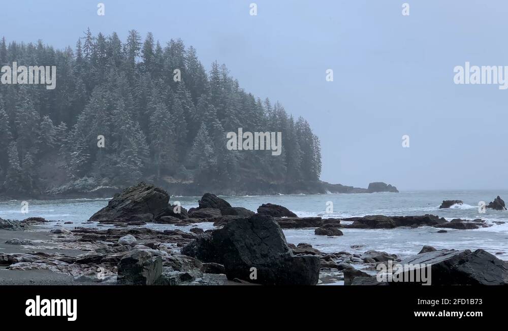 Canada pacific northwest Stock Videos & Footage - HD and 4K Video Clips ...