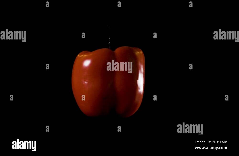 An isolated big red pepper spinning against a black background Stock ...