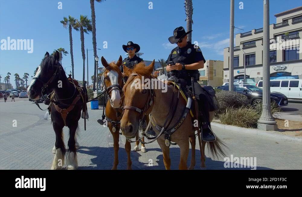 Police officers beach Stock Videos & Footage - HD and 4K Video Clips ...