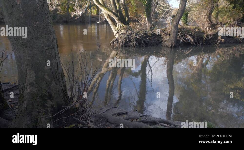 Exposed riverbank Stock Videos & Footage - HD and 4K Video Clips - Alamy