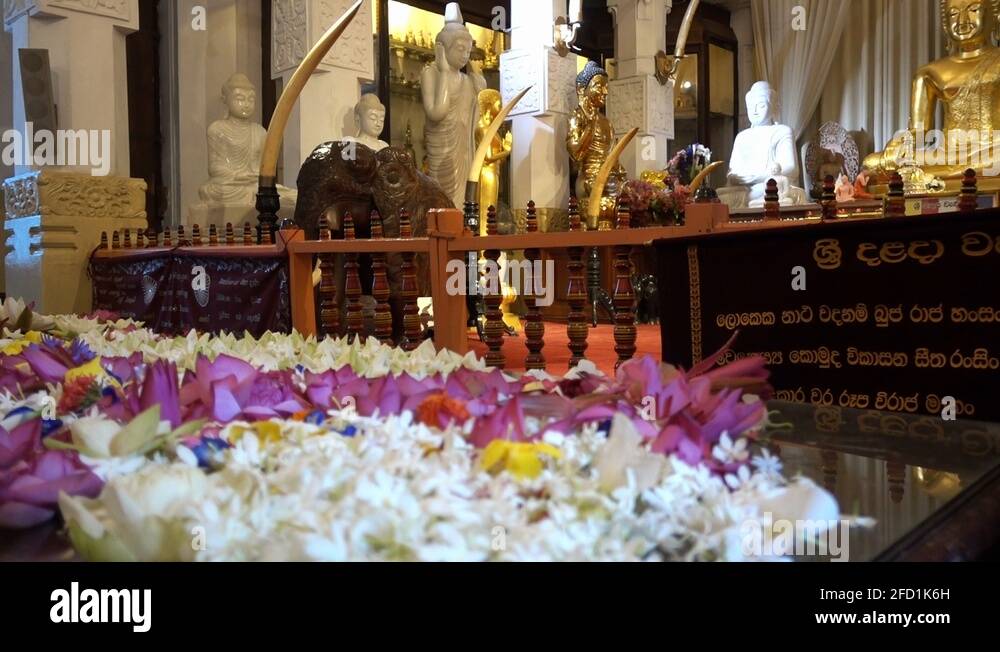 inside the Sri Dalada Maligawa Temple of the Sacred Tooth Relic, Kandy Stock Video Footage - Alamy