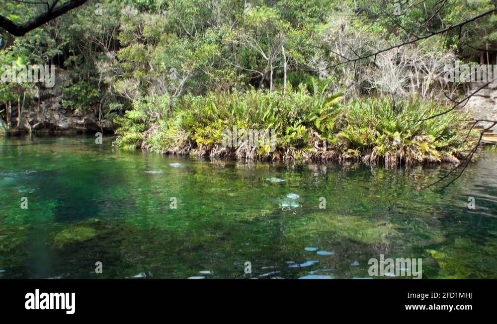 Cave in underground water of underwater Yucatan Mexico cenotes Stock ...