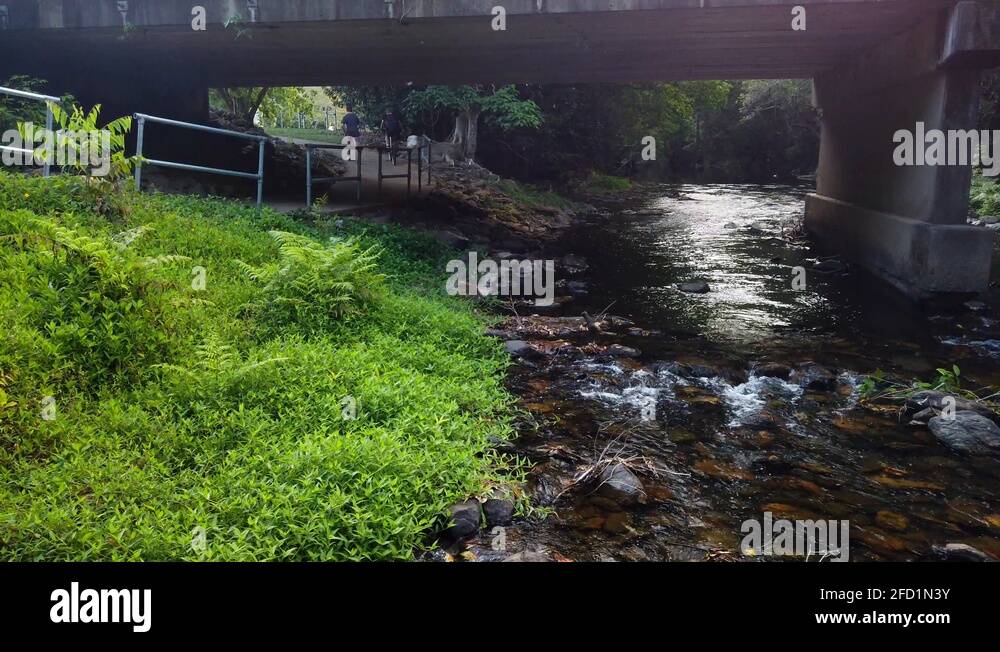 Footpath under bridge Stock Videos & Footage - HD and 4K Video Clips ...