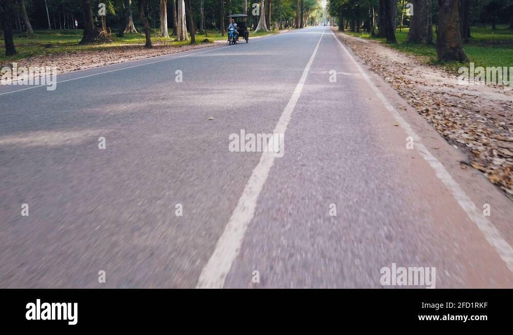Trees along lane Stock Videos & Footage - HD and 4K Video Clips - Alamy