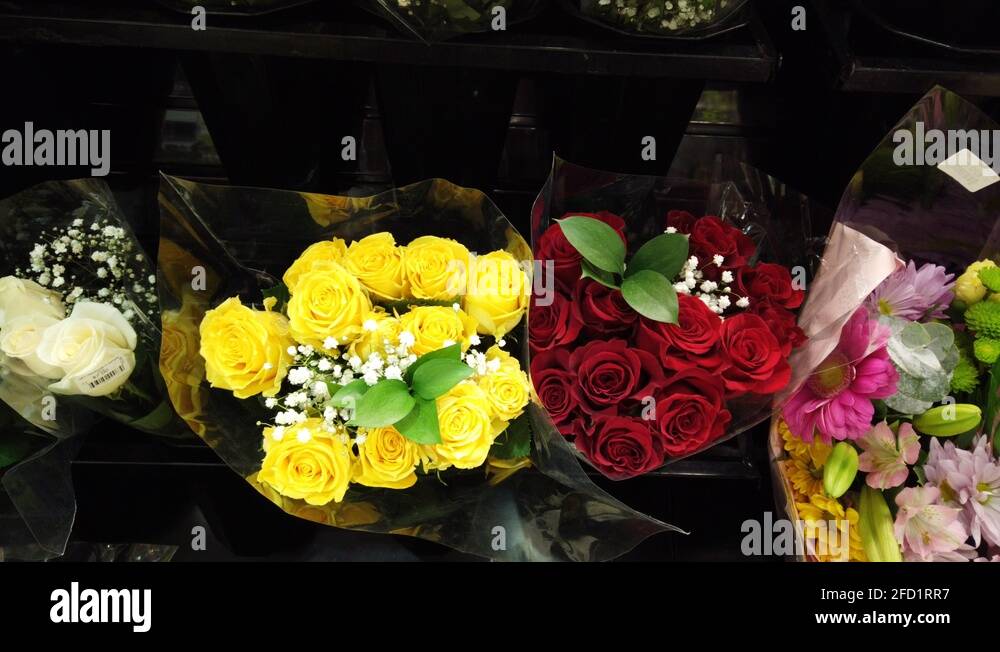 Corn roses Stock Videos & Footage - HD and 4K Video Clips - Alamy