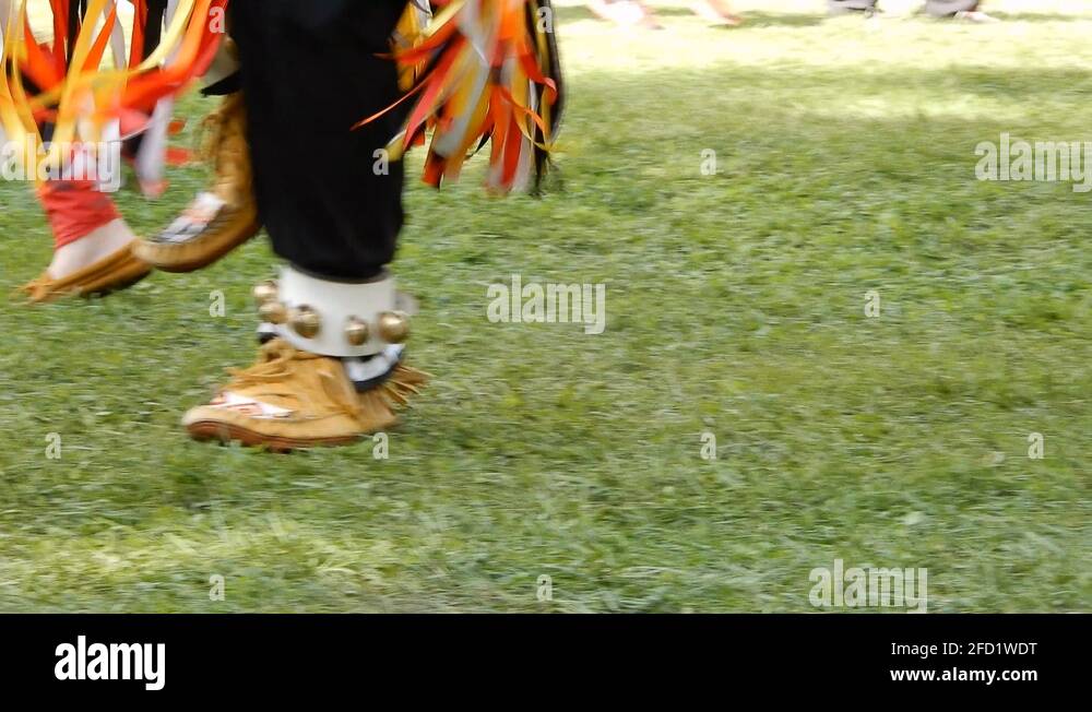 First nations man Stock Videos & Footage - HD and 4K Video Clips - Alamy