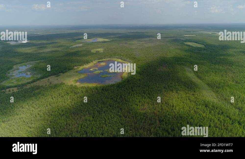 Taiga siberia Stock Videos & Footage - HD and 4K Video Clips - Alamy