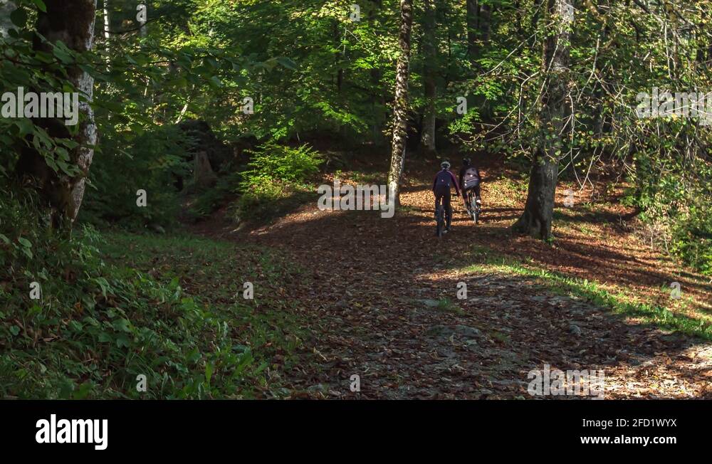 Rough hill woods Stock Videos & Footage - HD and 4K Video Clips - Alamy