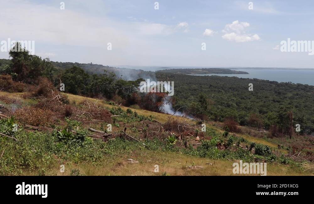 Disaster on small island Stock Videos & Footage - HD and 4K Video Clips ...