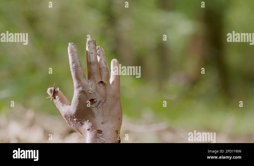 Hand sticking out water Stock Videos & Footage - HD and 4K Video Clips ...