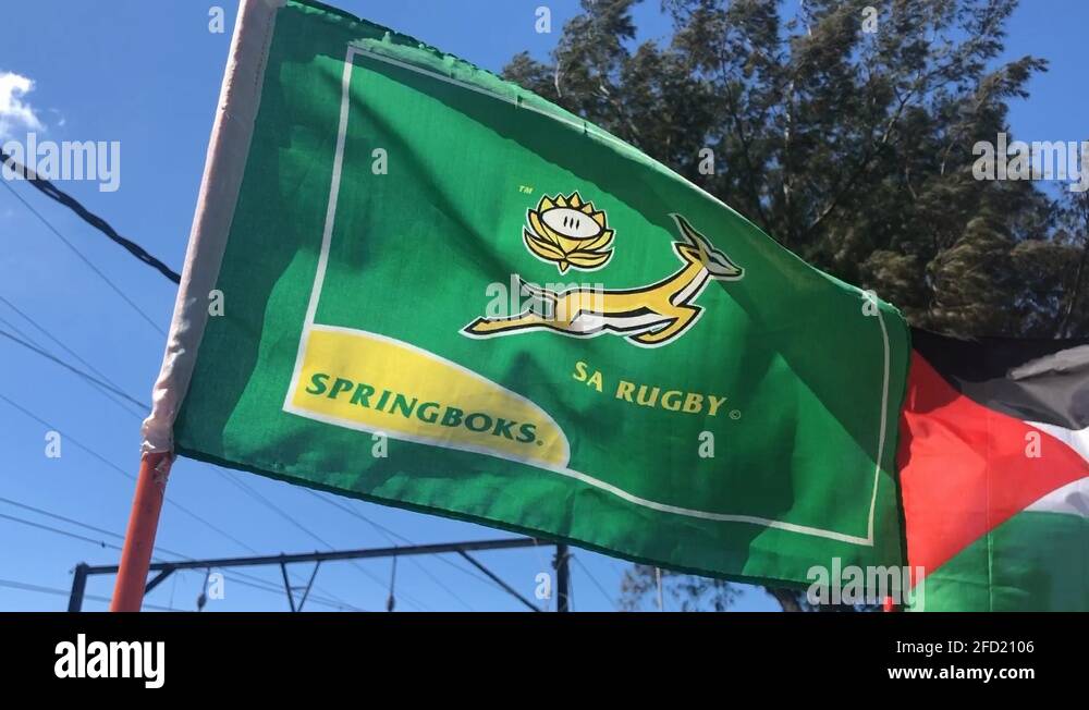 South african springboks team Stock Videos & Footage - HD and 4K Video ...