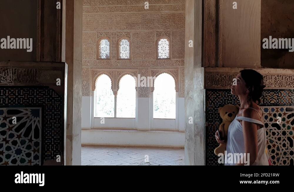 Teddy hall Stock Videos & Footage - HD and 4K Video Clips - Alamy