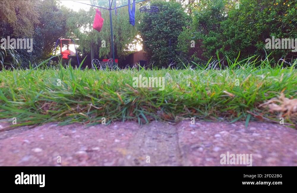 Low angle shot line Stock Videos & Footage - HD and 4K Video Clips - Alamy