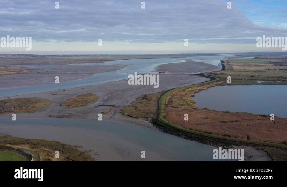 Thames estuary wildlife Stock Videos & Footage - HD and 4K Video Clips ...