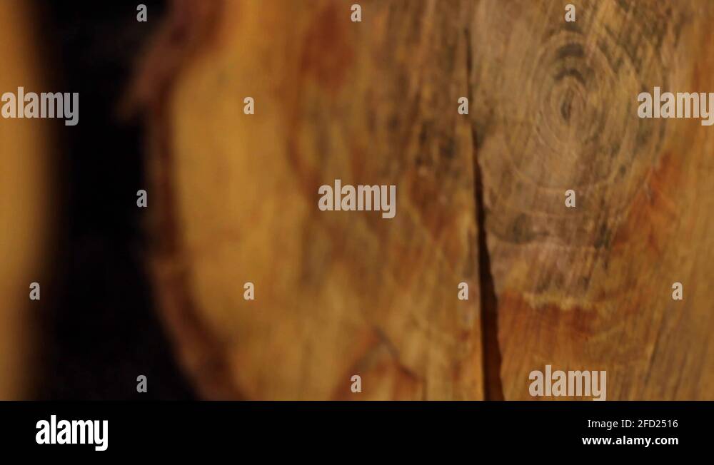 Split ring timber Stock Videos & Footage - HD and 4K Video Clips - Alamy