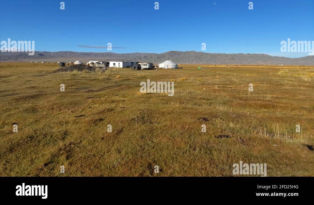 Mongolian farm Stock Videos & Footage - HD and 4K Video Clips - Alamy