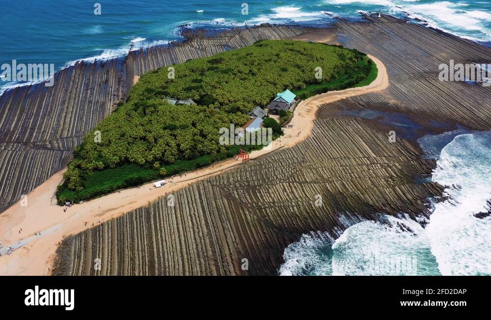 Aoshima cat island Stock Videos & Footage - HD and 4K Video Clips - Alamy