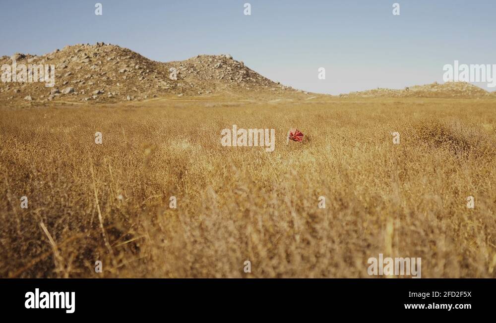 Training at technique Stock Videos & Footage - HD and 4K Video Clips ...