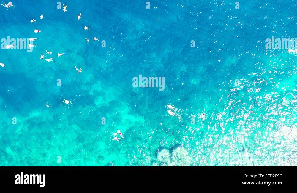 Deep Blue Ocean With People Snorkeling Around And Underwater Sea ...