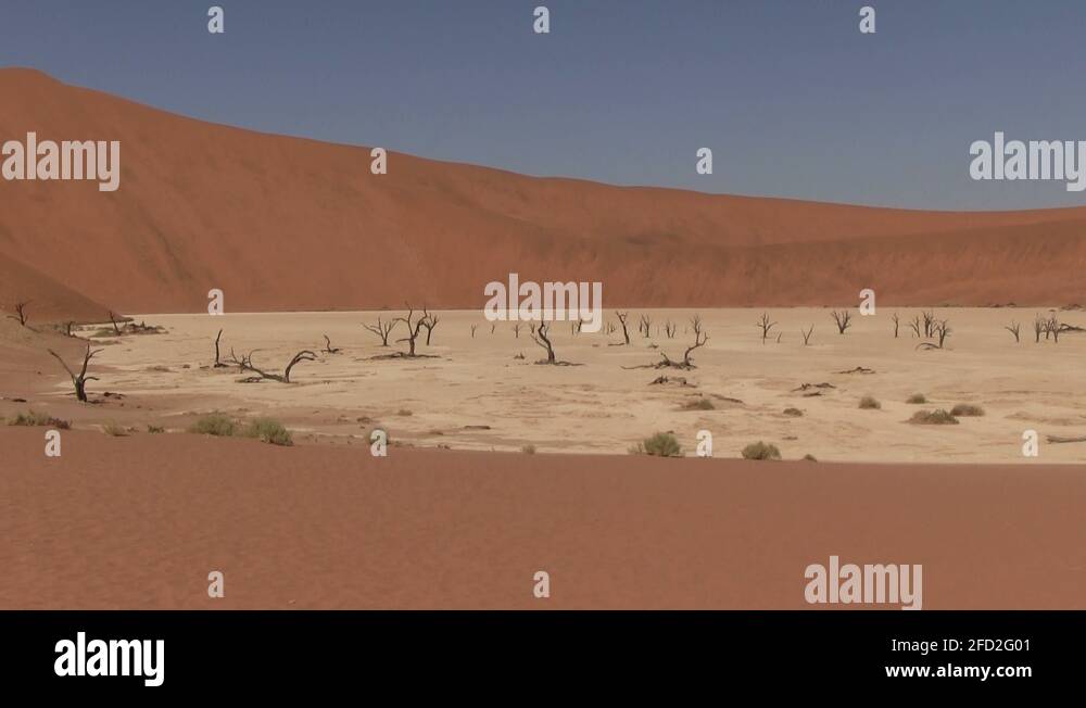 Namibia dead valley Stock Videos & Footage - HD and 4K Video Clips - Alamy