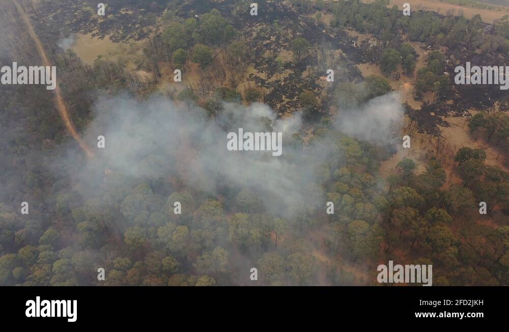 Bushfires Stock Videos & Footage - HD and 4K Video Clips - Alamy