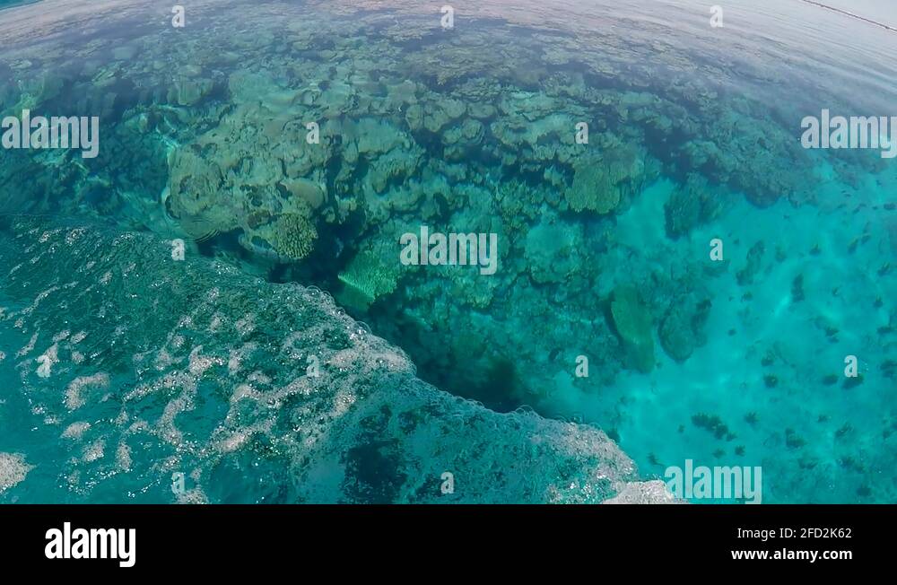 Coral Reef Head in Still Blue Water Lagoon, Boat Wake HANDHELD SLOMO ...