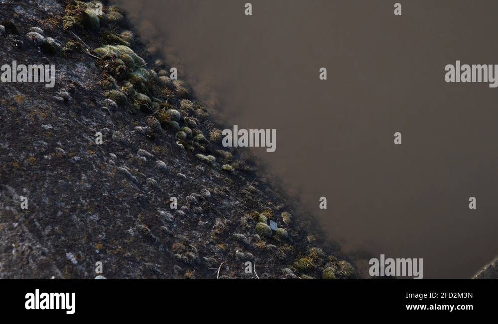 Concrete river wall Stock Videos & Footage - HD and 4K Video Clips - Alamy