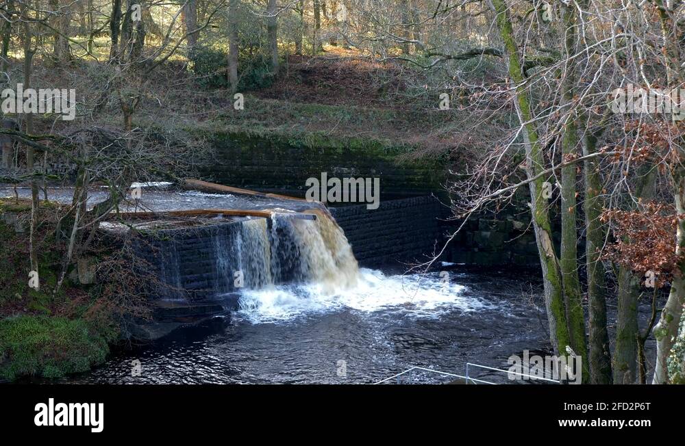 Wyre forest Stock Videos & Footage - HD and 4K Video Clips - Alamy