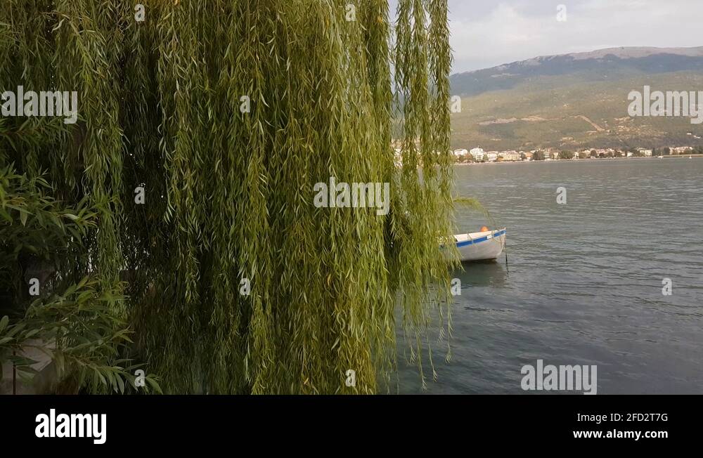 Tree scenery boat Stock Videos & Footage - HD and 4K Video Clips - Alamy