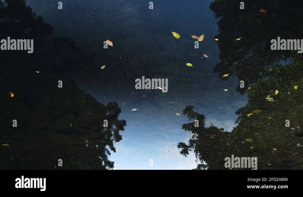 Inverted reflection in water Stock Videos & Footage - HD and 4K Video ...