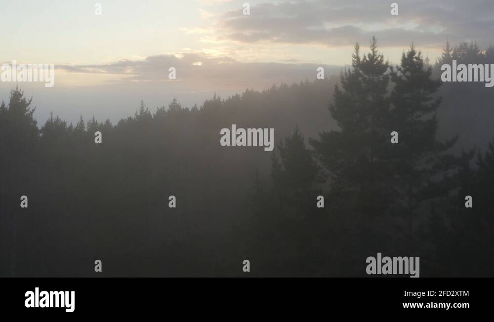 Lord rings fantasy Stock Videos & Footage - HD and 4K Video Clips - Alamy